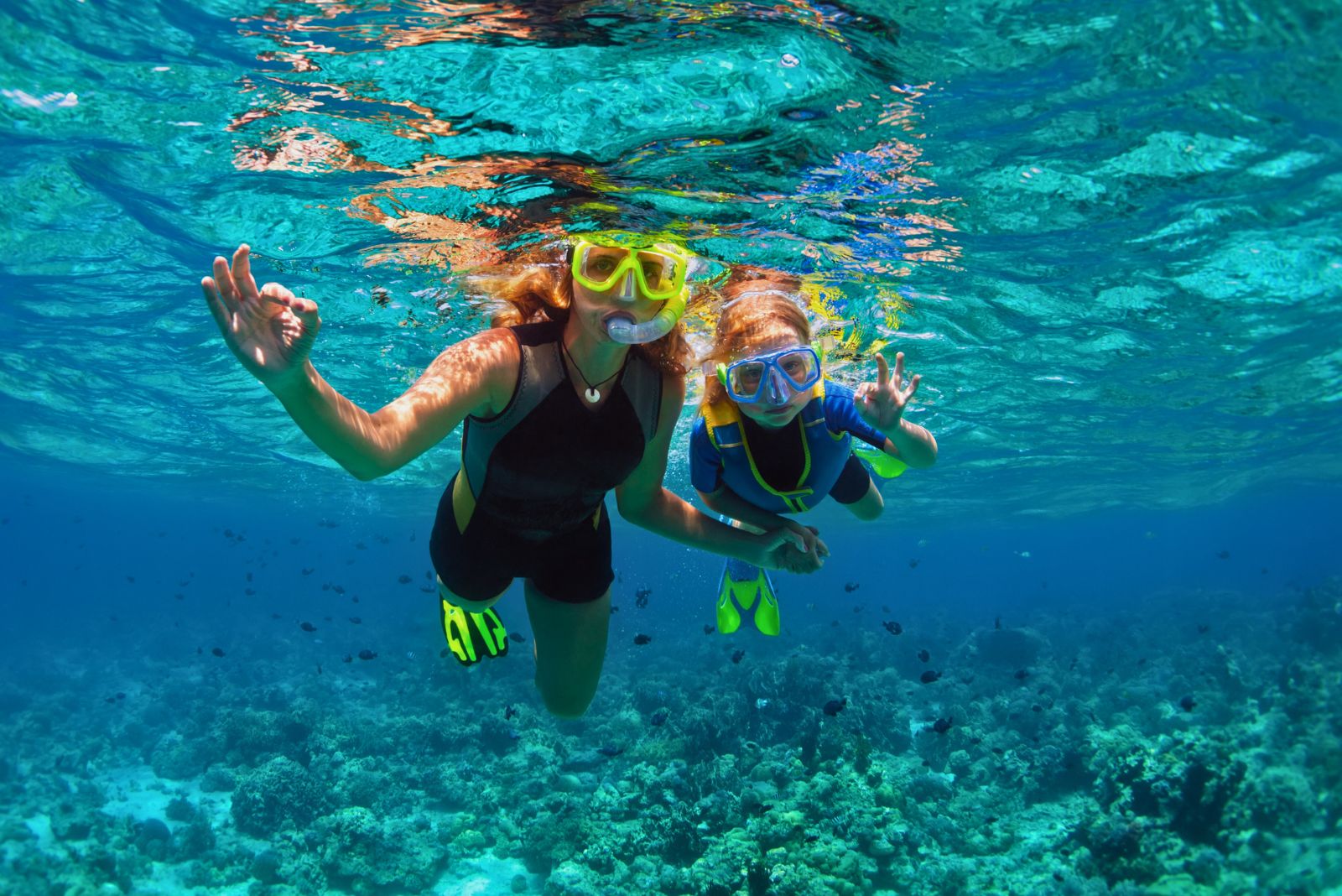 Madeira Water Experiences Surf Dive Ocean Adventures madeira-water-experiences-surf-dive-ocean-adventures